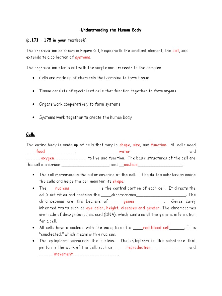 3-HANDOUT - Understanding The Human Body | PDF | Human Body | Cell ...