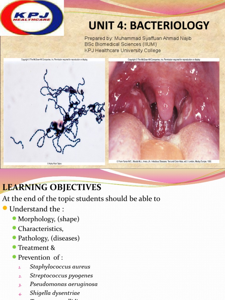 Unit 4 Bacteriology | PDF | Staphylococcus | Staphylococcus Aureus