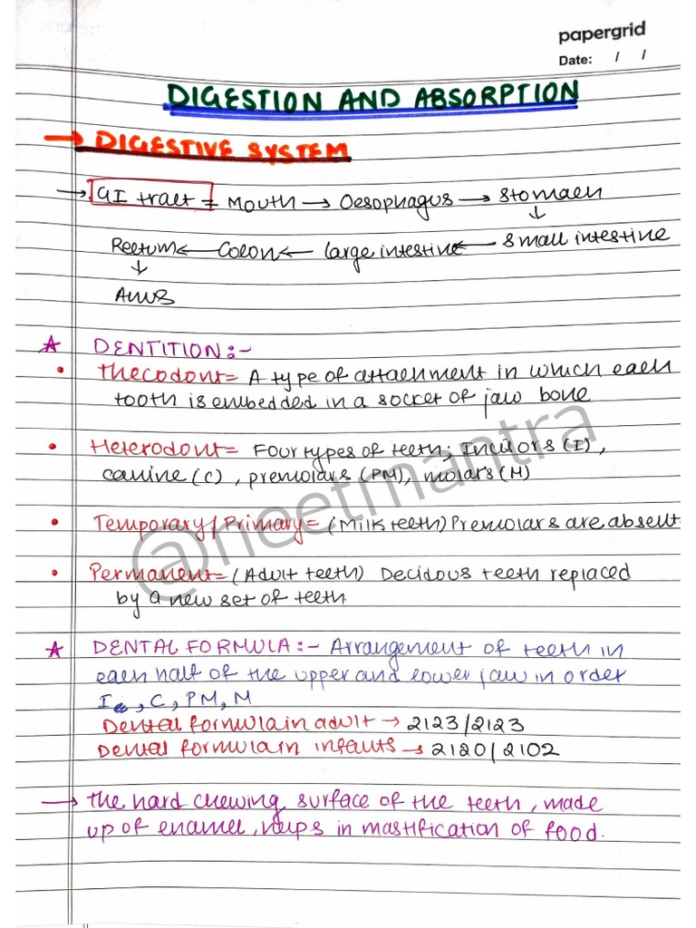 Digestion and Absorption NCERT Revision Notes | PDF