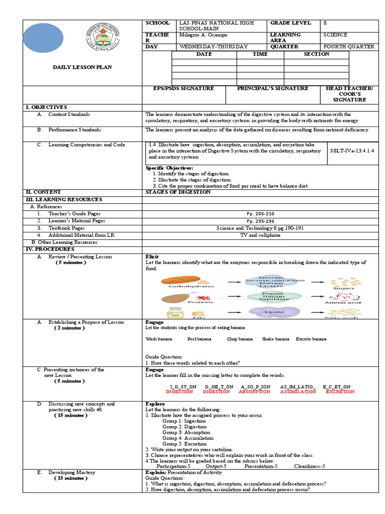 Stages of Digestion Lesson Plan | PDF | Digestion | Learning