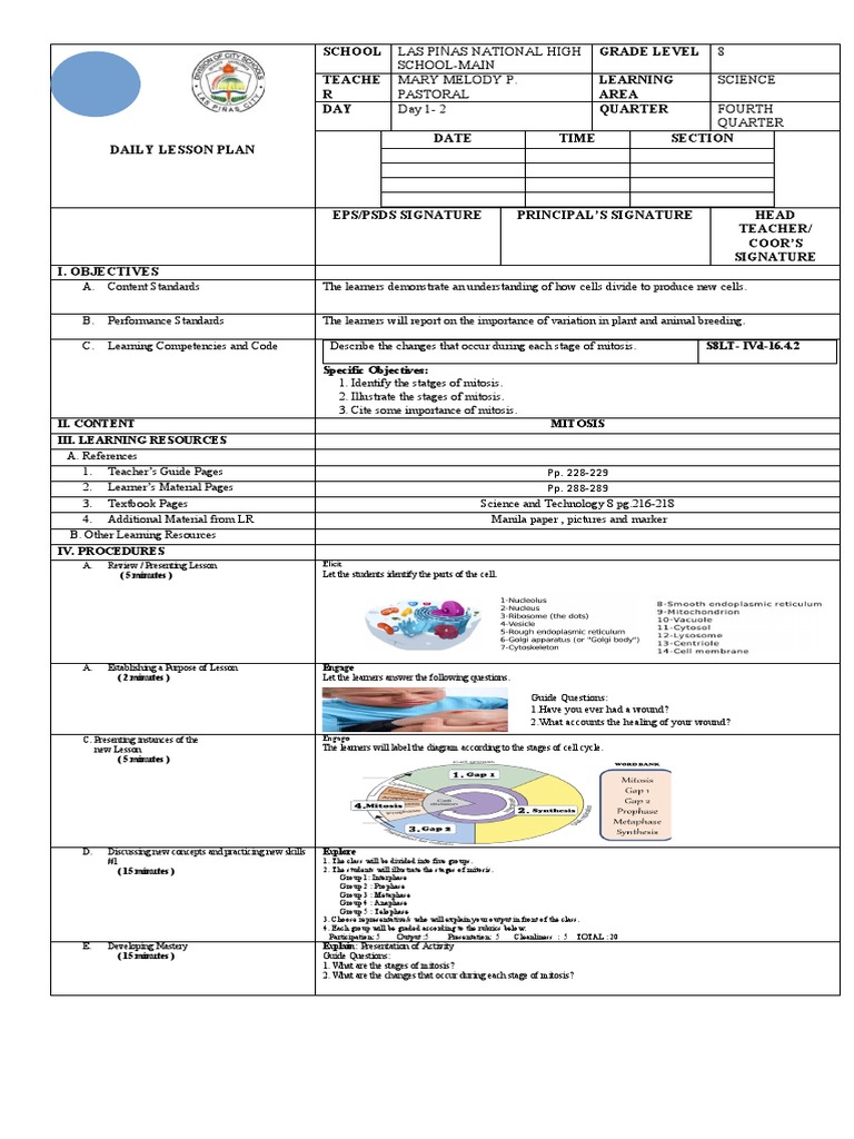 Mitosis Lesson Plan | Download Free PDF | Mitosis | Biology
