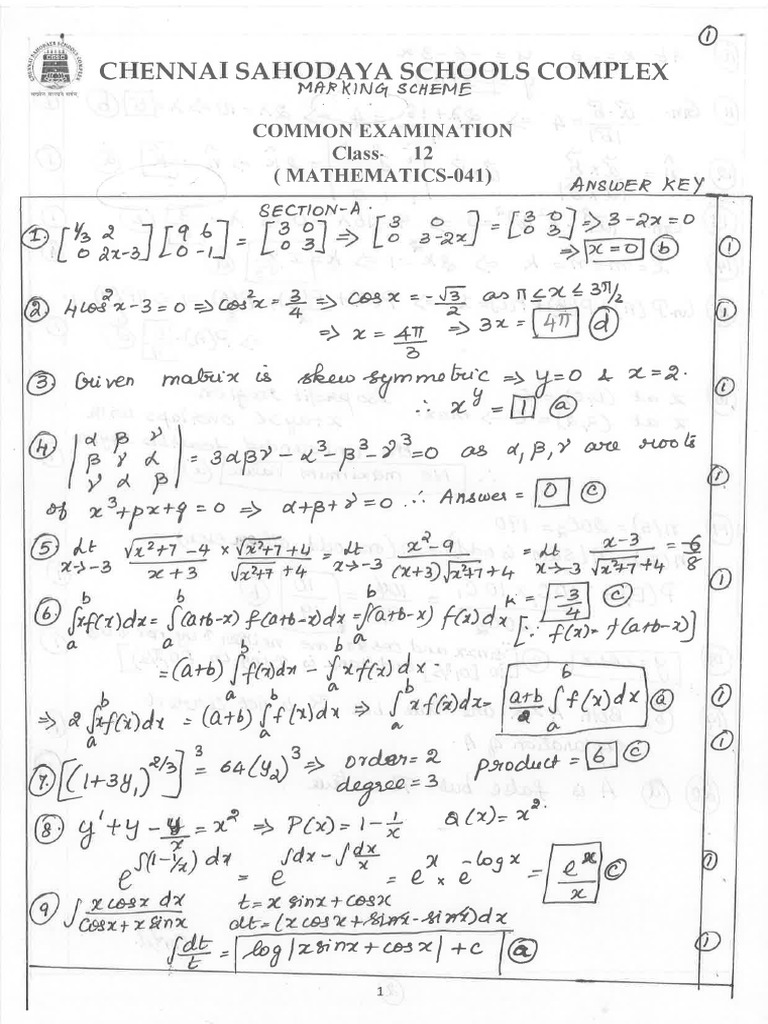CSSC Class 12 Math MS Paper 1 | PDF