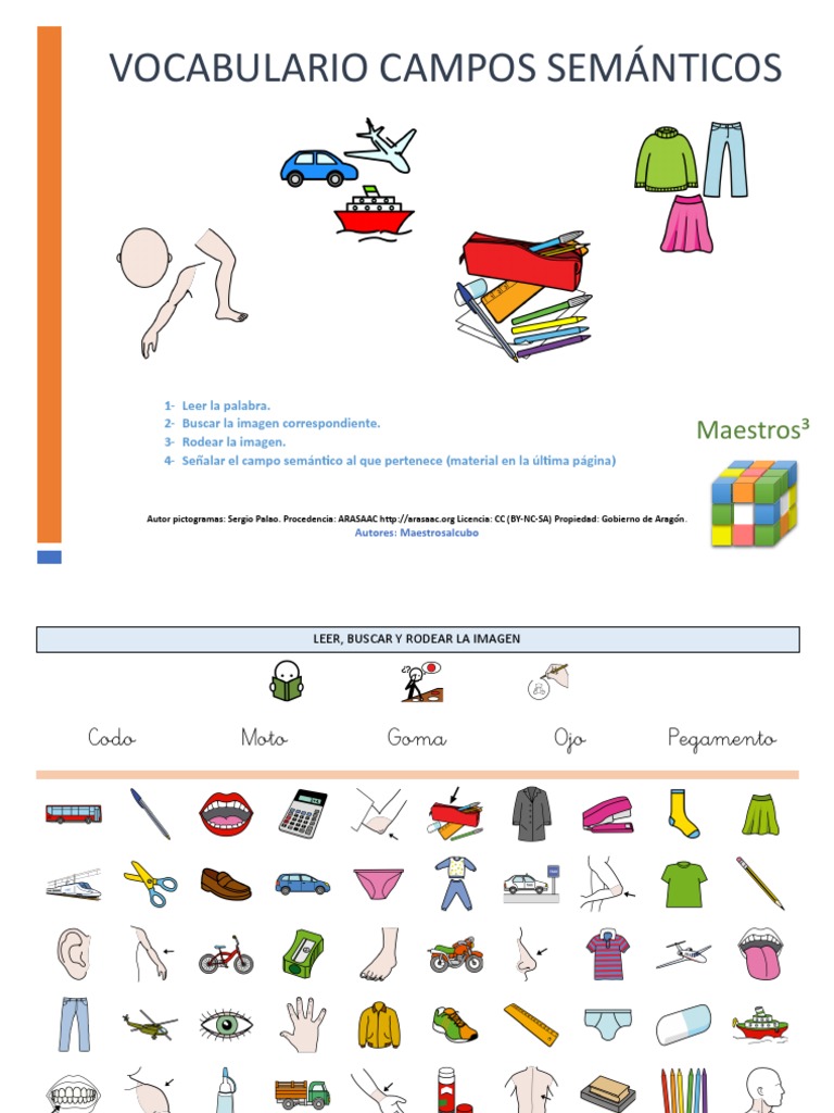 Campos Semanticos | PDF | Ropa