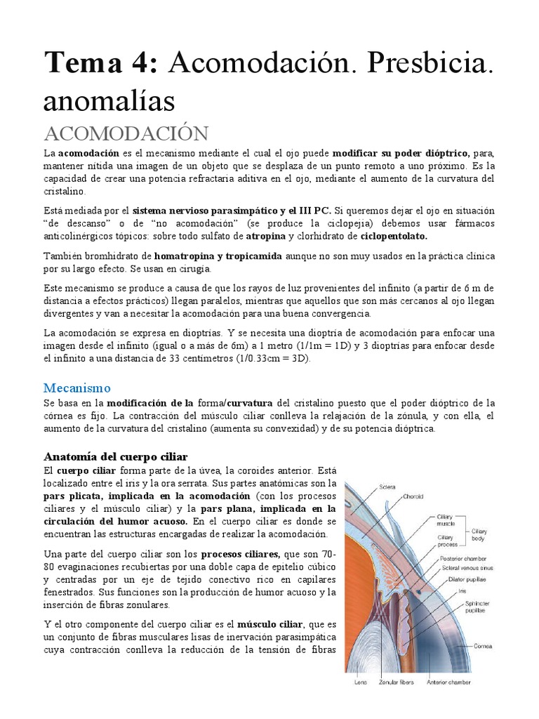 Tema 4 - Acomodación | PDF | Ojo humano | Percepción visual
