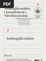 Prospecto NIFURYL | PDF | Infección del tracto urinario ...