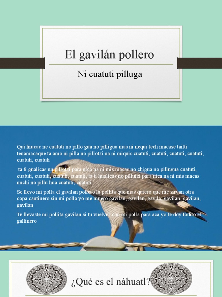 El Gavilán Pollero Nahuatl | PDF