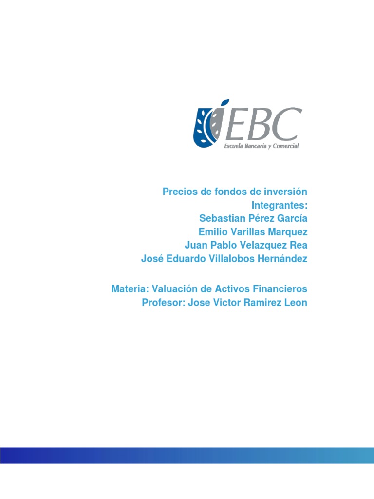 Problemas09 VAF | PDF | Sector privado | Ciencias económicas