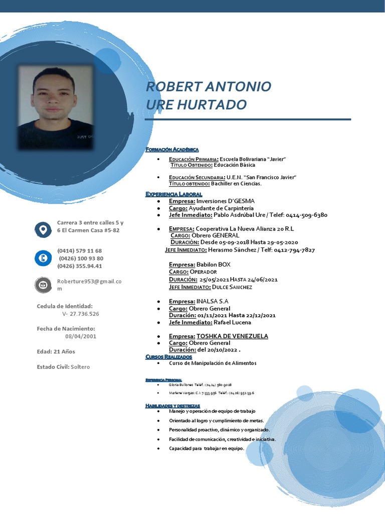 Resumen Curricular | PDF