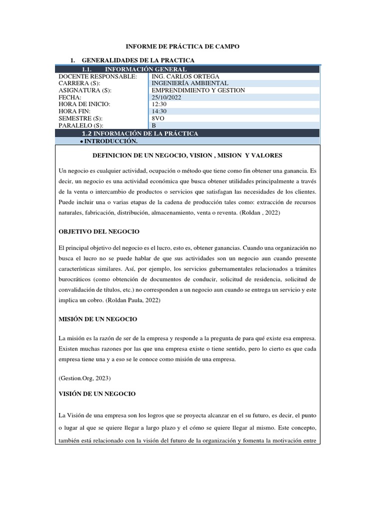 Informe de Emprendimiento Cabezas y Cabrera 8SB | PDF | Iniciativa ...