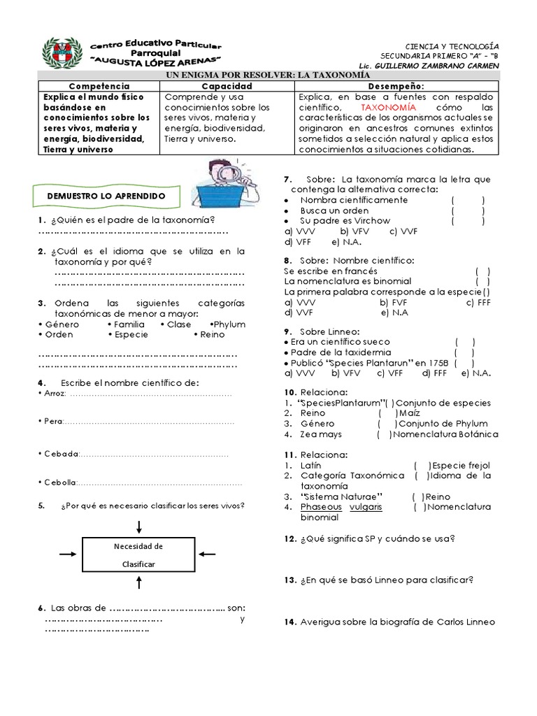 1°taxonomía Actividad | PDF | Taxonomía (biología) | Especies