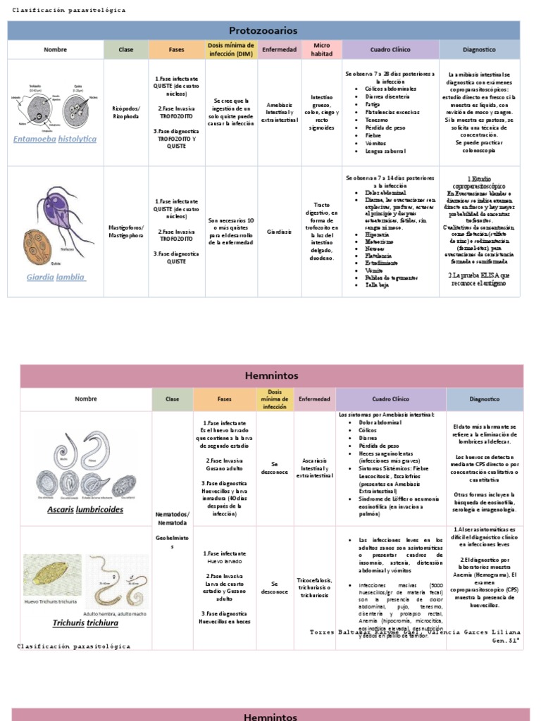 Cuadro de Protozooarios y Helmintos | PDF