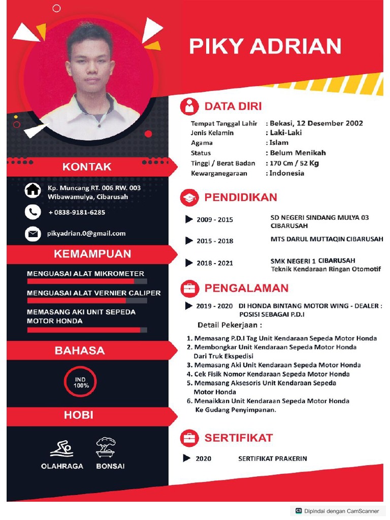 CV Piky Adrian | PDF