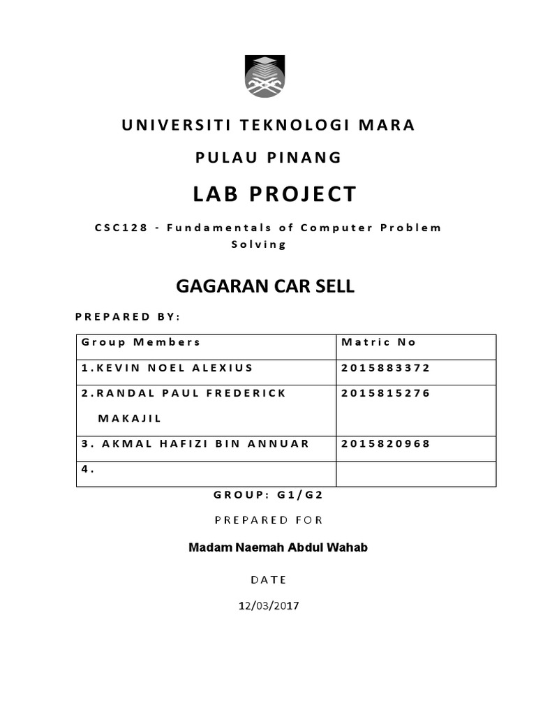 Sample Report CSC128 Feb2017 | PDF | Software Development | Computing