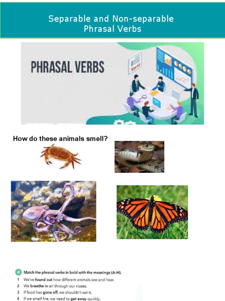 B1 Phrasal Verbs - Intro | PDF | Verb | Pronoun