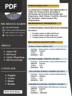 Document Controller CV Format | PDF | Microsoft Excel | Computing