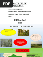 Impacto Ambiental - Ecosistema - Sabana Humeda de Palmeras | PDF ...