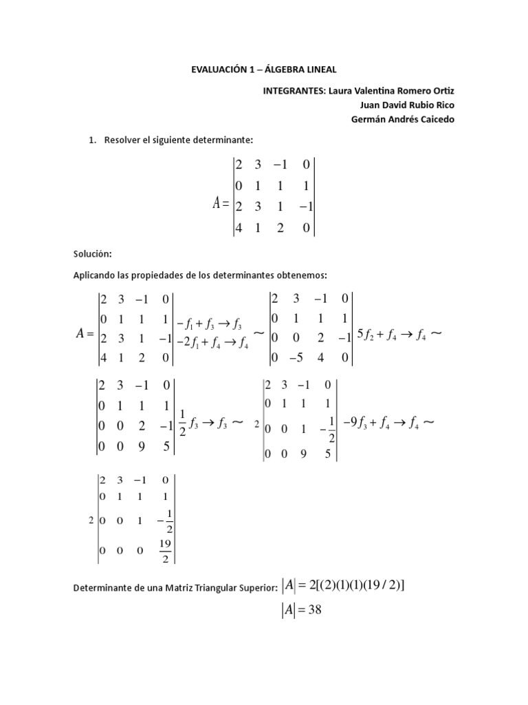 Solución Parcial 1 Álgebra Lineal | PDF | Matriz (Matemáticas) | Relaciones matematicas