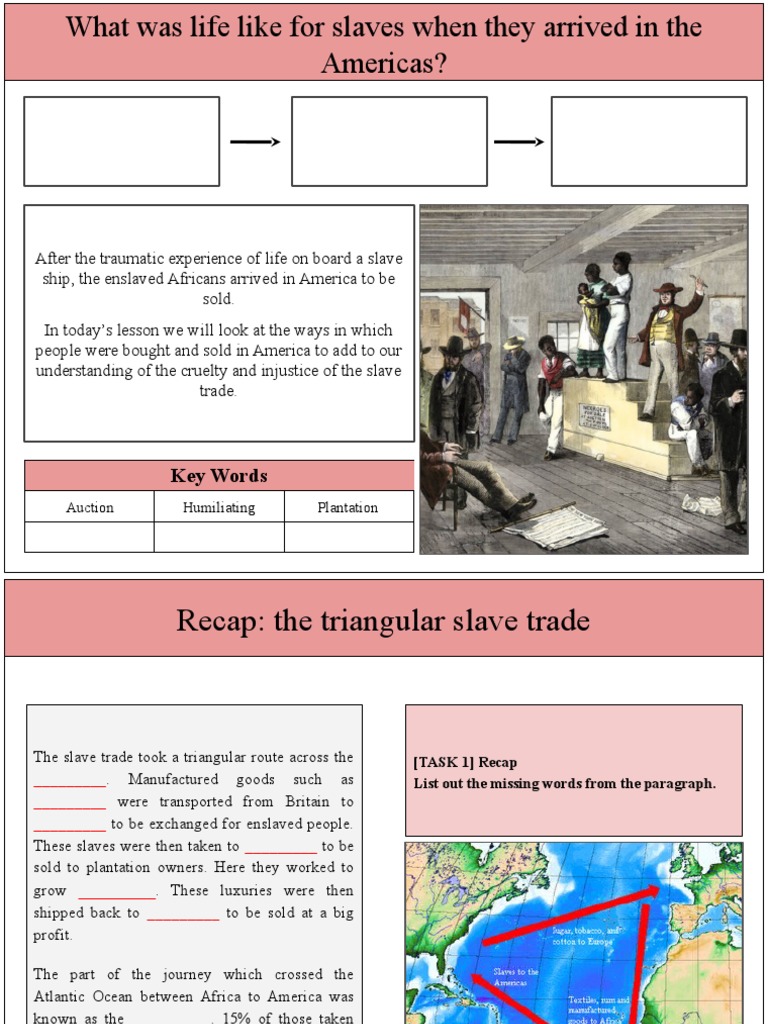History Lesson: Slave Trade Insights | PDF | Slavery | Atlantic Slave Trade