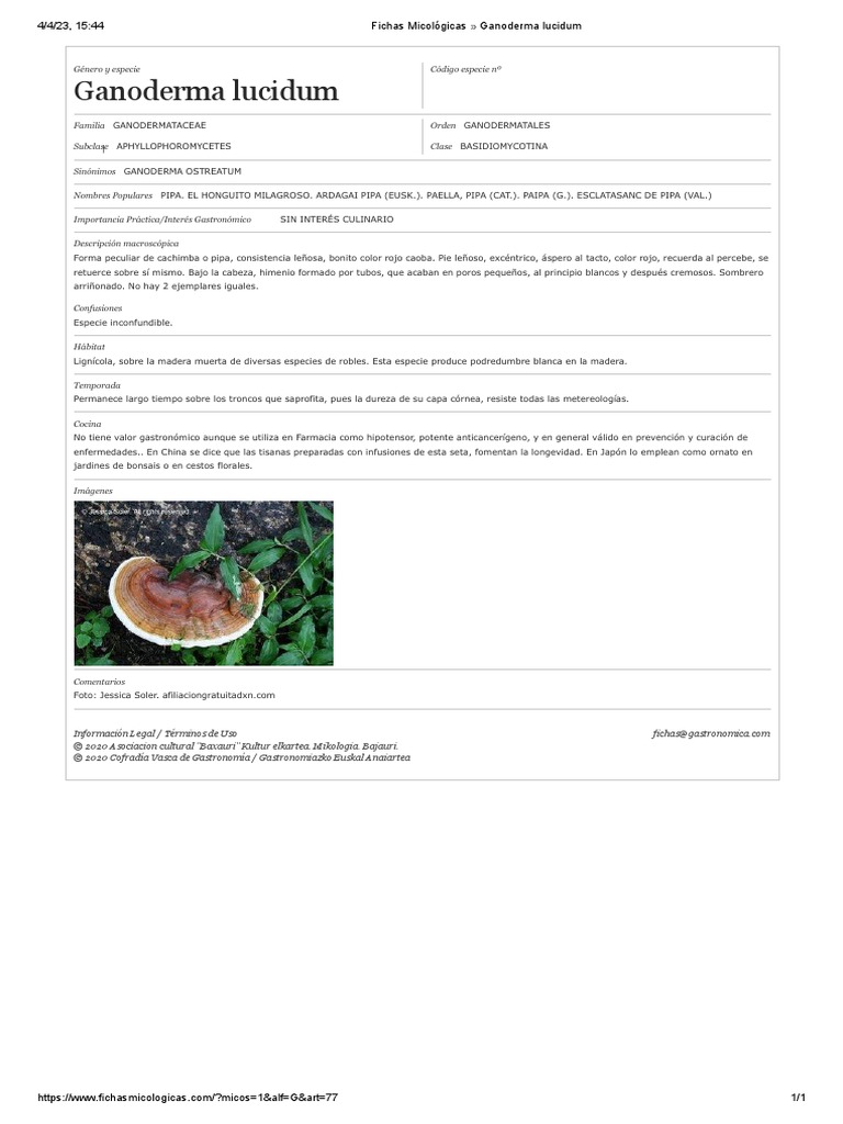 Ganoderma Lucidum | PDF