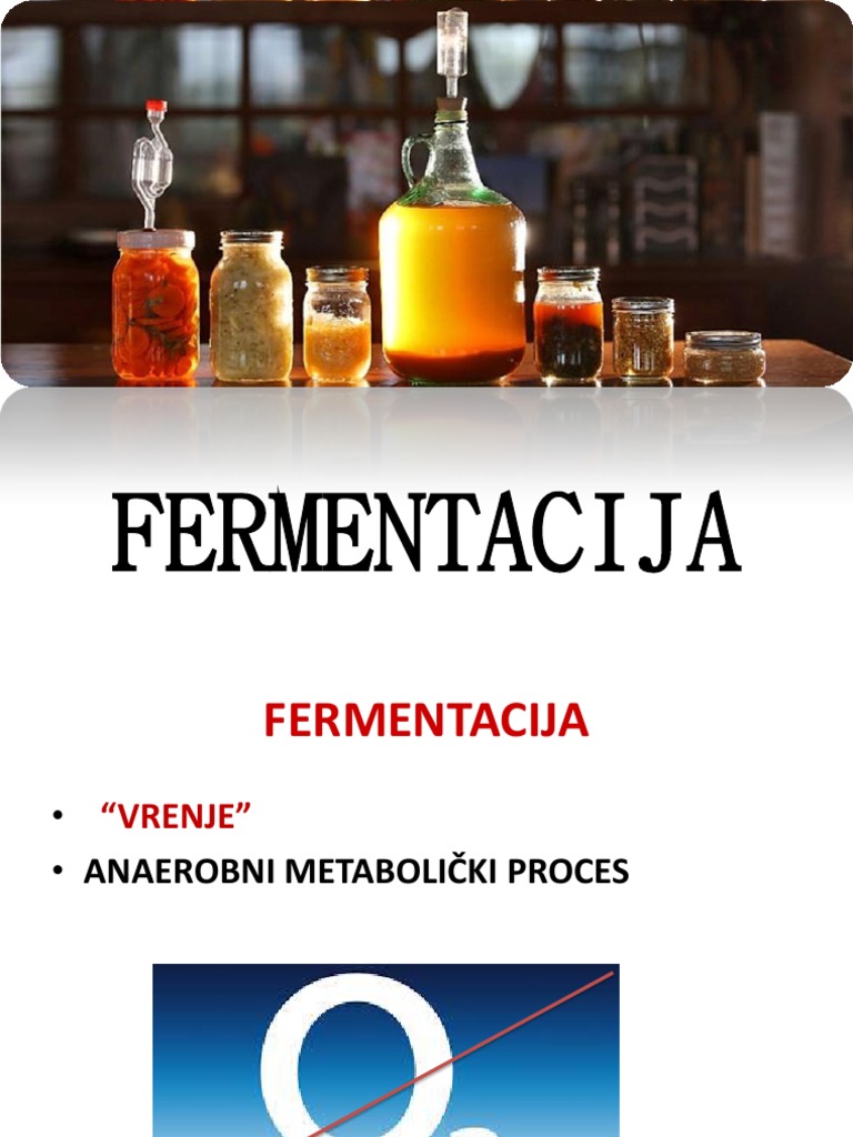 Fermentacija 1 | PDF