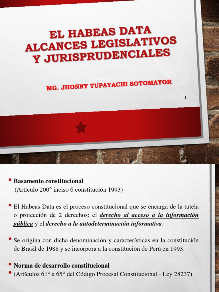 Proceso Constitucional de Habeas Data | PDF | Etica Aplicada | Principios éticos