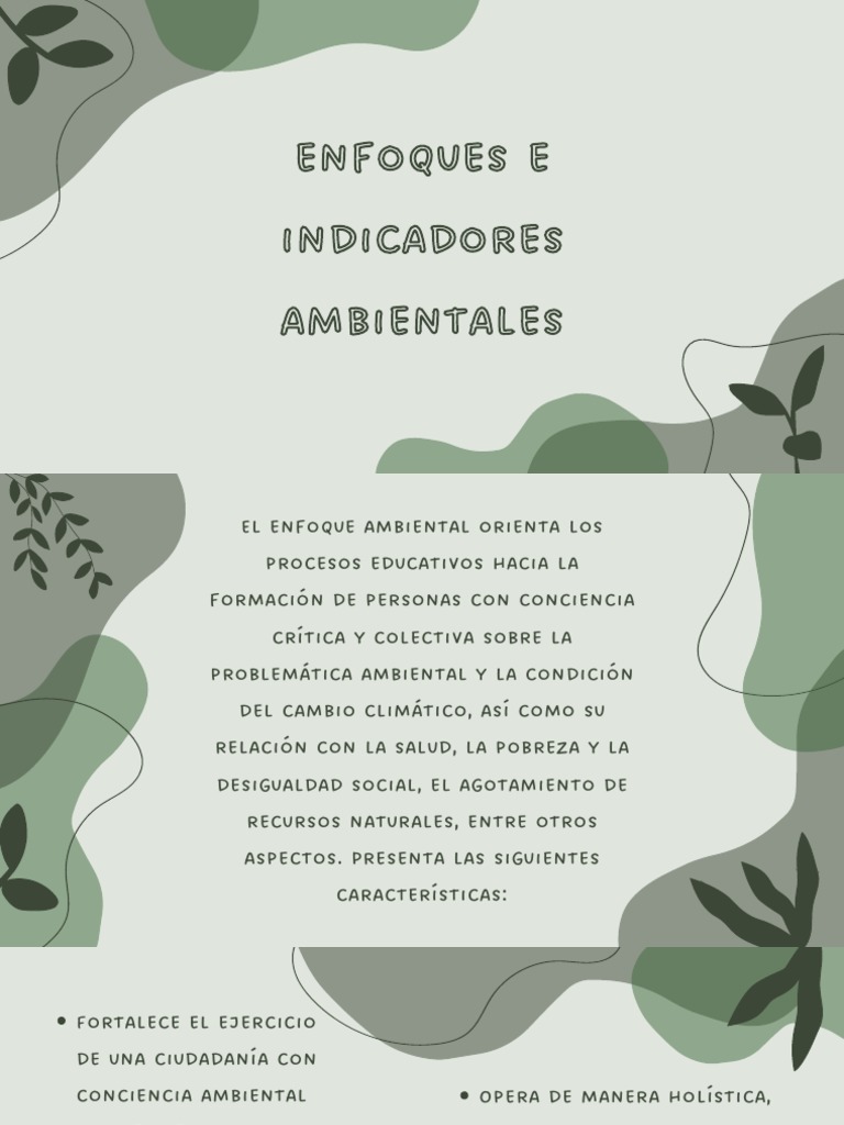 Enfoques e Indicadores Ambientales | PDF | Entorno natural | Sustentabilidad