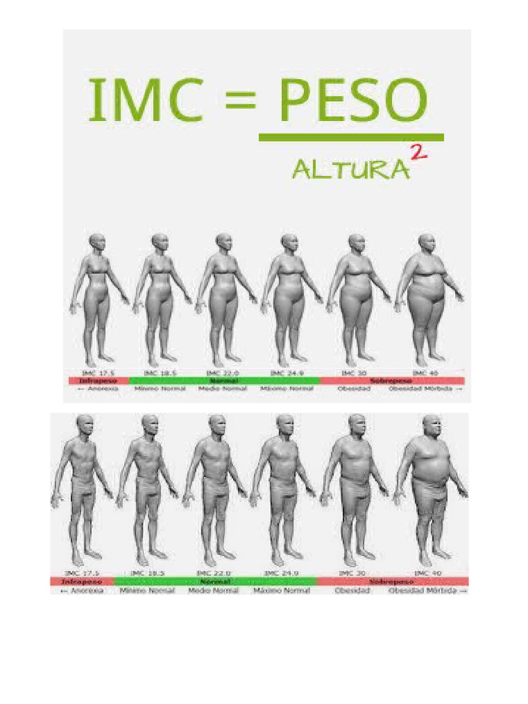 Figura de Indice de Masa Corporal | PDF