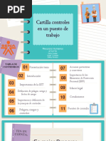 La Pirámide Del Control de Riesgos | PDF | Riesgo | Solvente