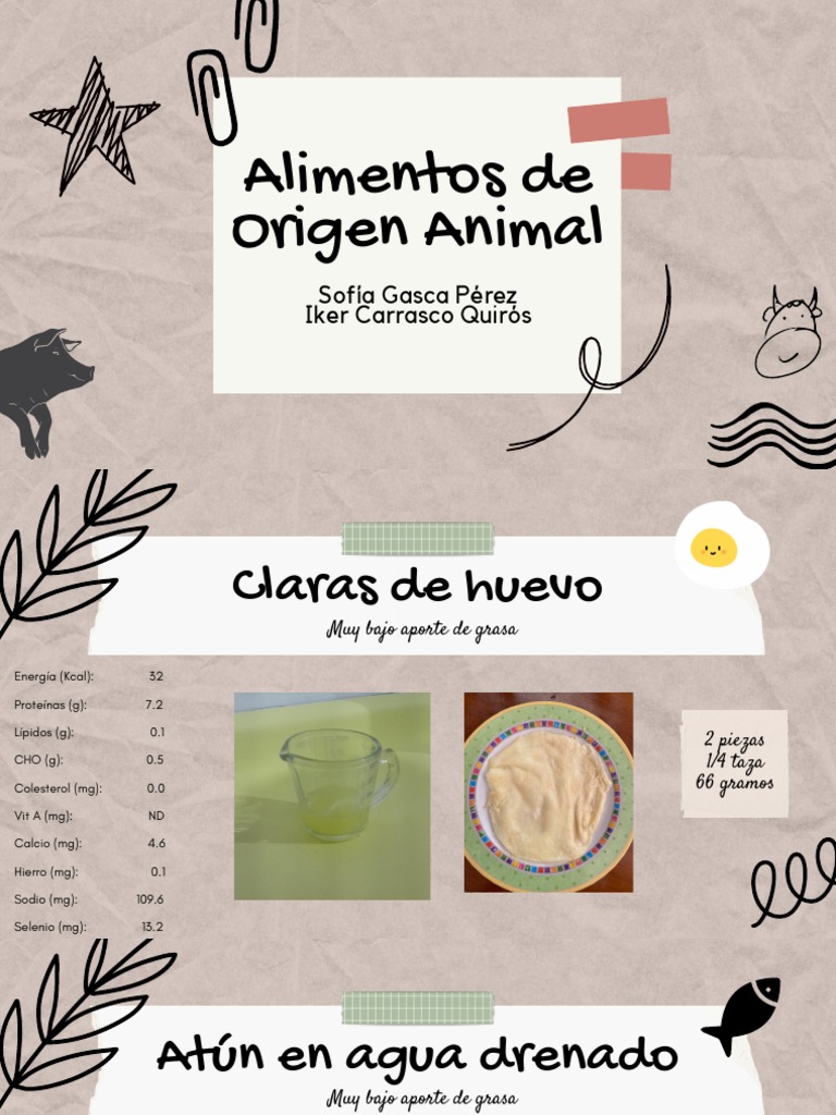 Alimentos de Origen Animal | PDF | Nutrición | Dieta y nutrición