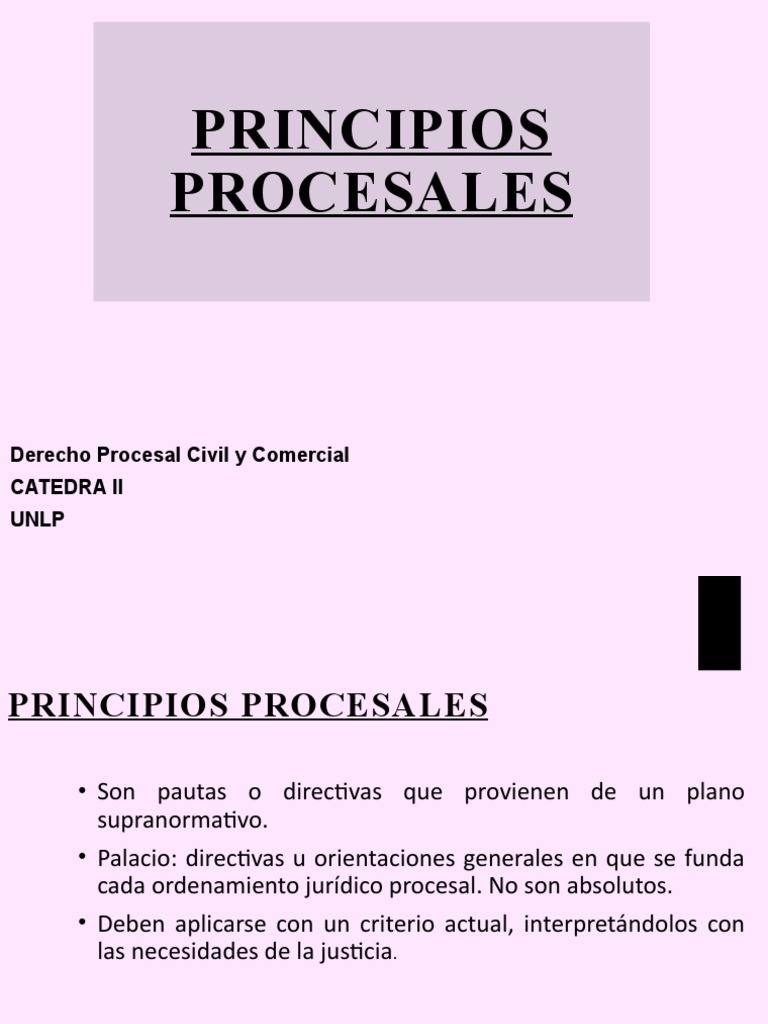 PP Principios Procesales | PDF | Ley procesal | Procedimiento Civil