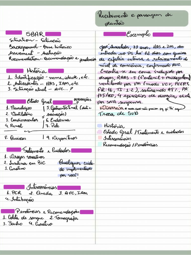 Recebimento e Passagem de Plantao - 230208 - 150847 | PDF