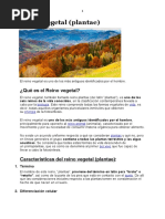 Reino Fungi | PDF | Hongo | Plantas