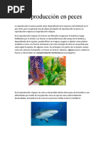 Peces Ovíparos y Viviparosy | PDF | Huevo | Pescado