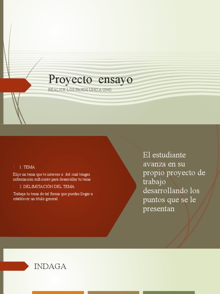 Proyecto Ensayo | PDF | Crecimiento personal y profesional
