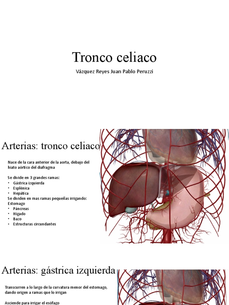 Tronco celiaco | PDF