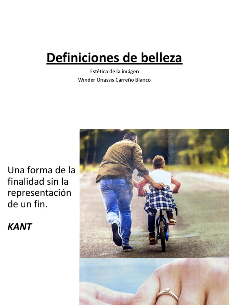 Definiciones de Belleza Bitácora | PDF