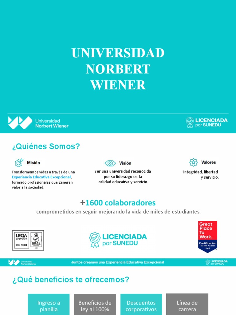 PPT - WIENER VENTAS (1) (2) | PDF