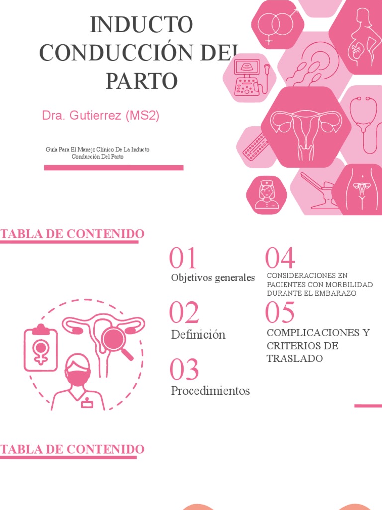 Inducto Conduccion Laura | PDF