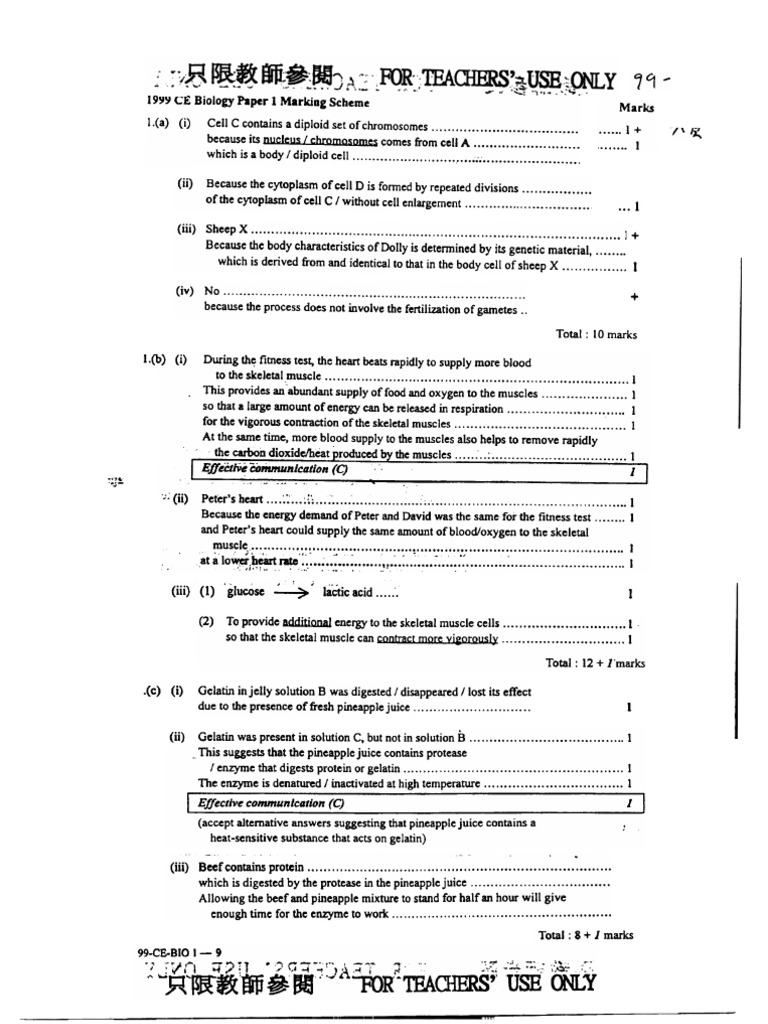 1999 CE Biology Paper 1 Marking Scheme | PDF | Chemistry | Biology