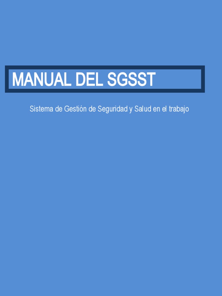 MSGI Manual de Sistema de Gestión Integral 10 | PDF | Organización ...
