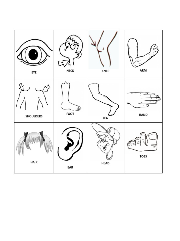 Bingo Body Parts | PDF | Foot | Hand