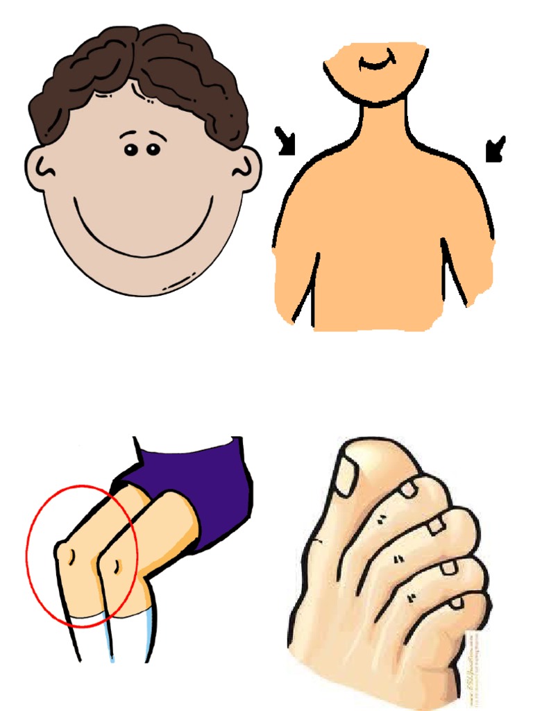 Body Parts Head Shoulders Knees and Toes | PDF