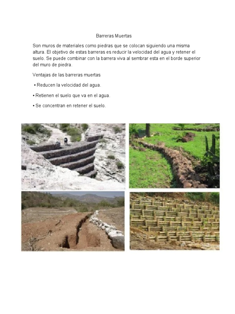 Barreras Muertas y Barreras Vivas | PDF Barreras Muertas y Barreras Vivas | PDF