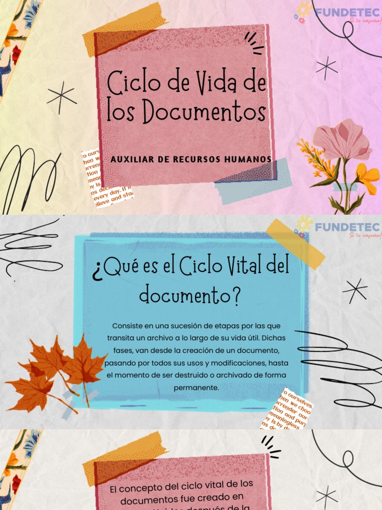 Ciclo de Vida de Los Documentos | PDF