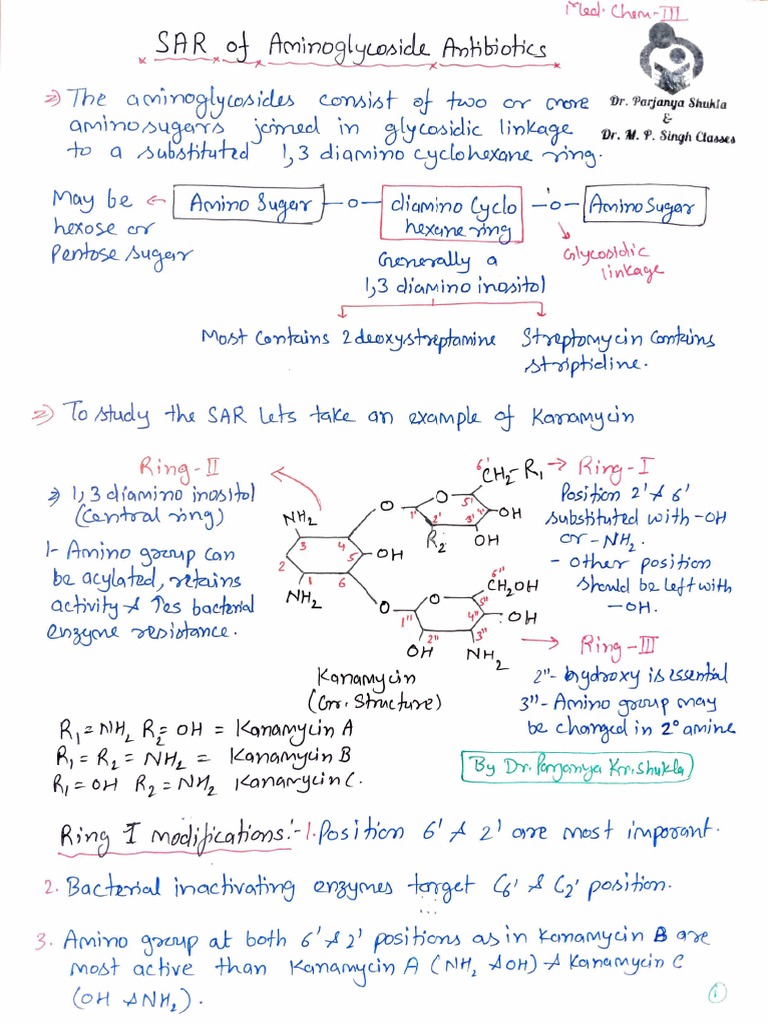 SAR of Aminoglycoside Antibiotics With Examples | PDF | Toxicology ...
