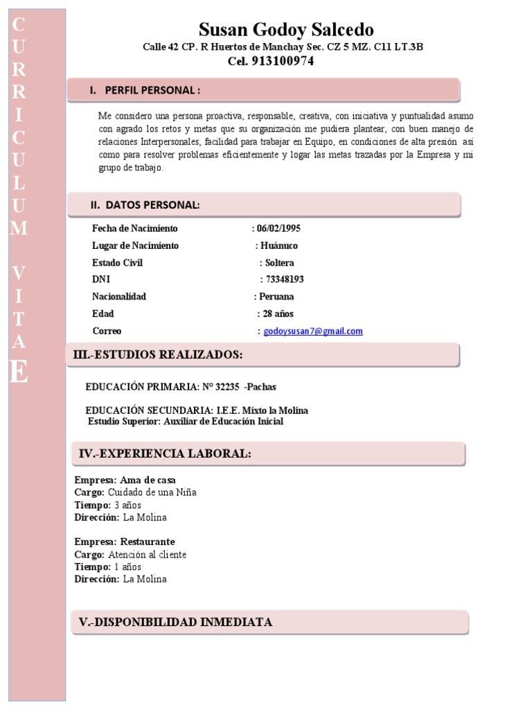 CURRICULUM VITAE Susan Salcedo Godoy | PDF