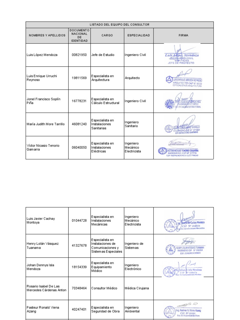 LISTA EQUIPO CONSULTOR | PDF | Ingeniería