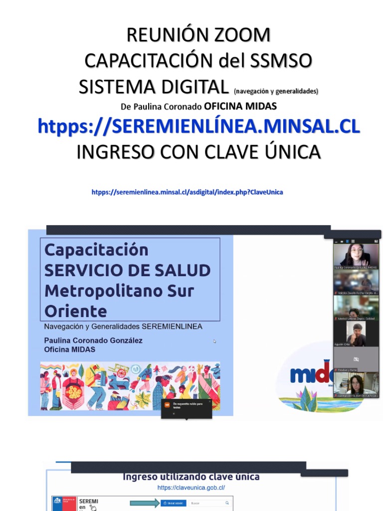 Capcitación Seremienlinea - Minsal.cl | PDF