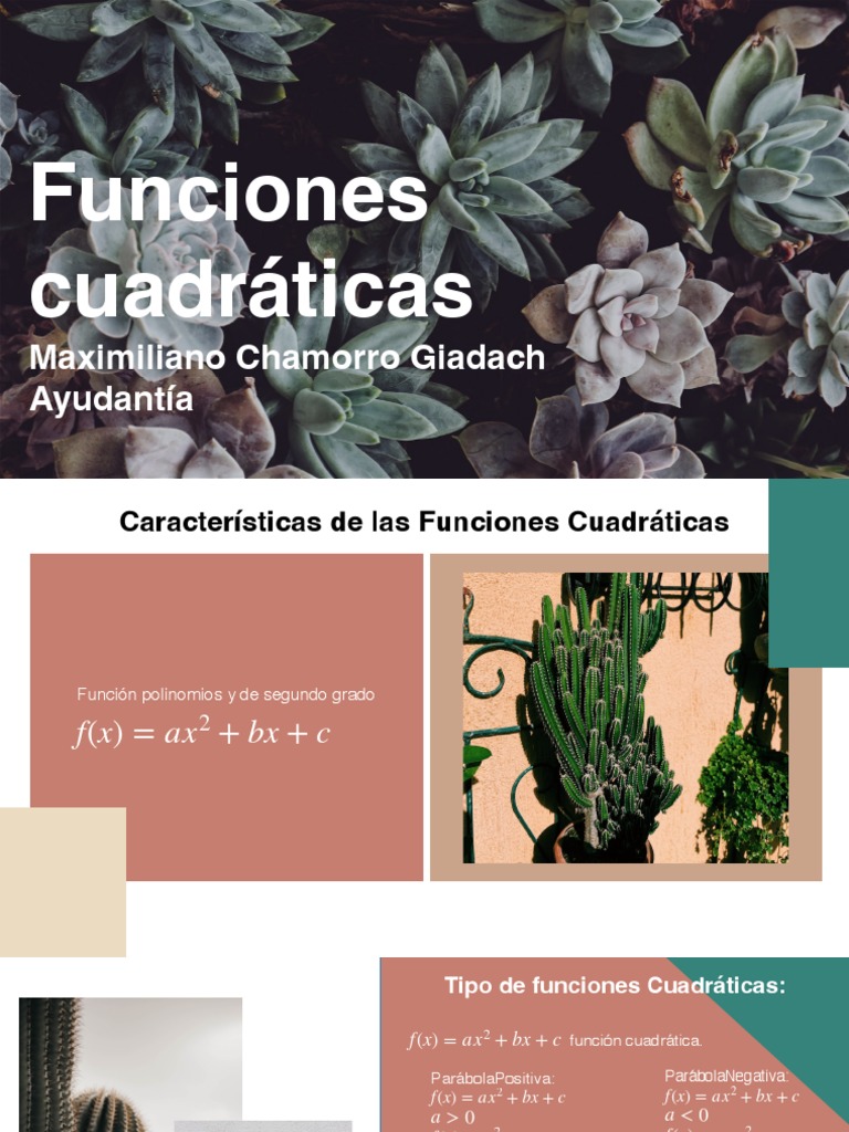 Funciones Cuadráticas: Tipos y Ejemplos | PDF | Matemáticas | Álgebra ...