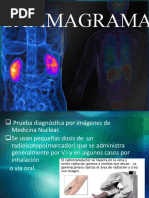 PCG-04 - Gammagrafía Renal Dinámica MAG3, DTPA - Rev2 | PDF ...